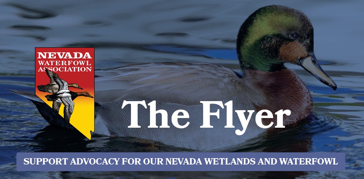 The Flyer: April 2026 - Nevada Waterfowl